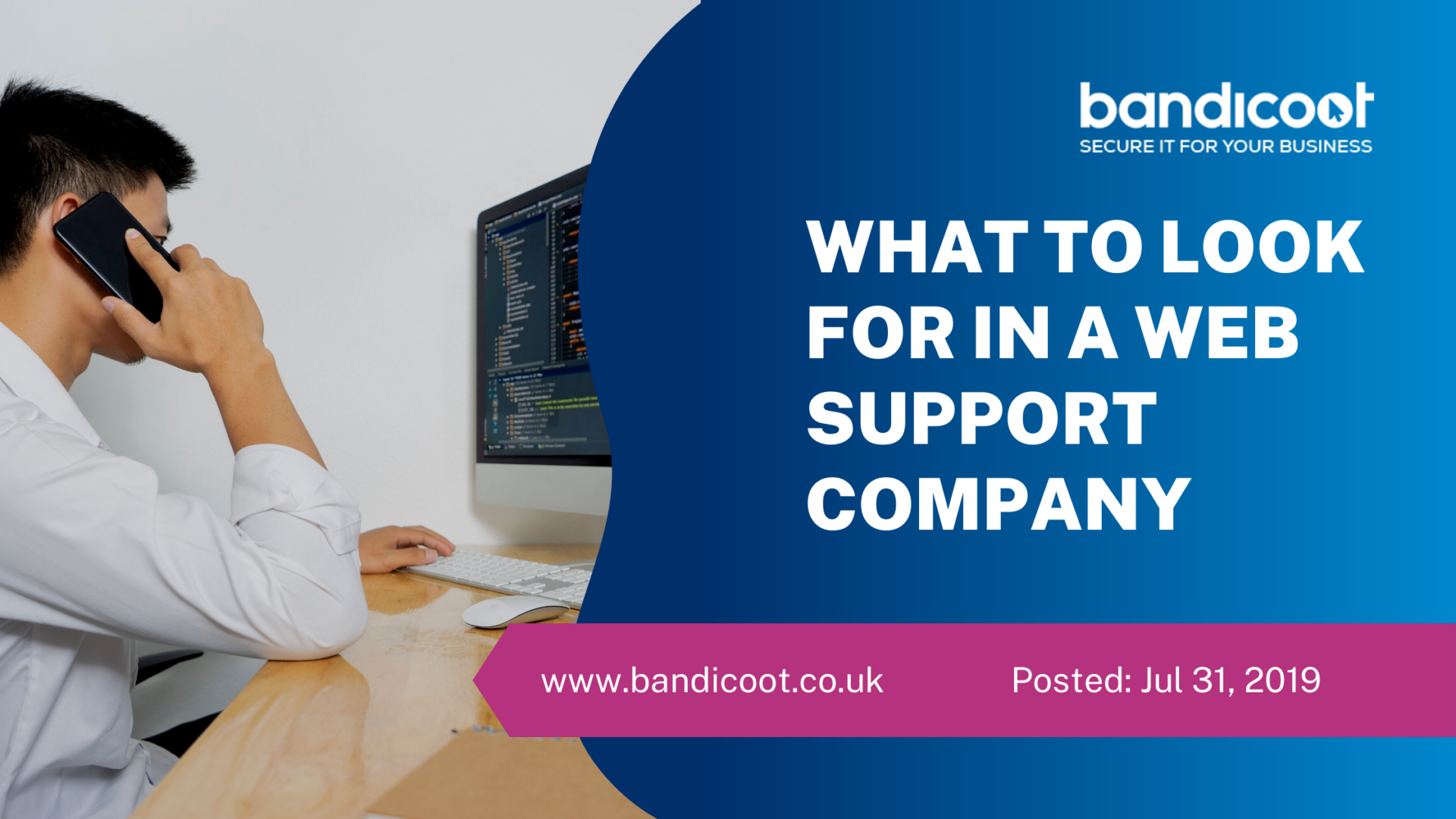 What To Look For In A Web Support Company? - Bandicoot IT