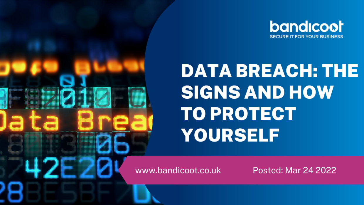 Data Breach: The Signs and How To Protect Yourself