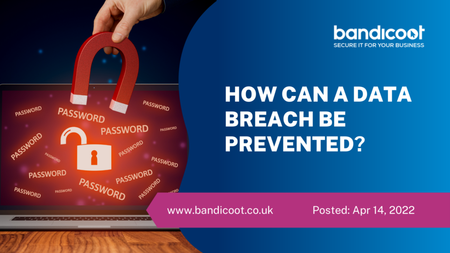 How Can A Data Breach Be Prevented?